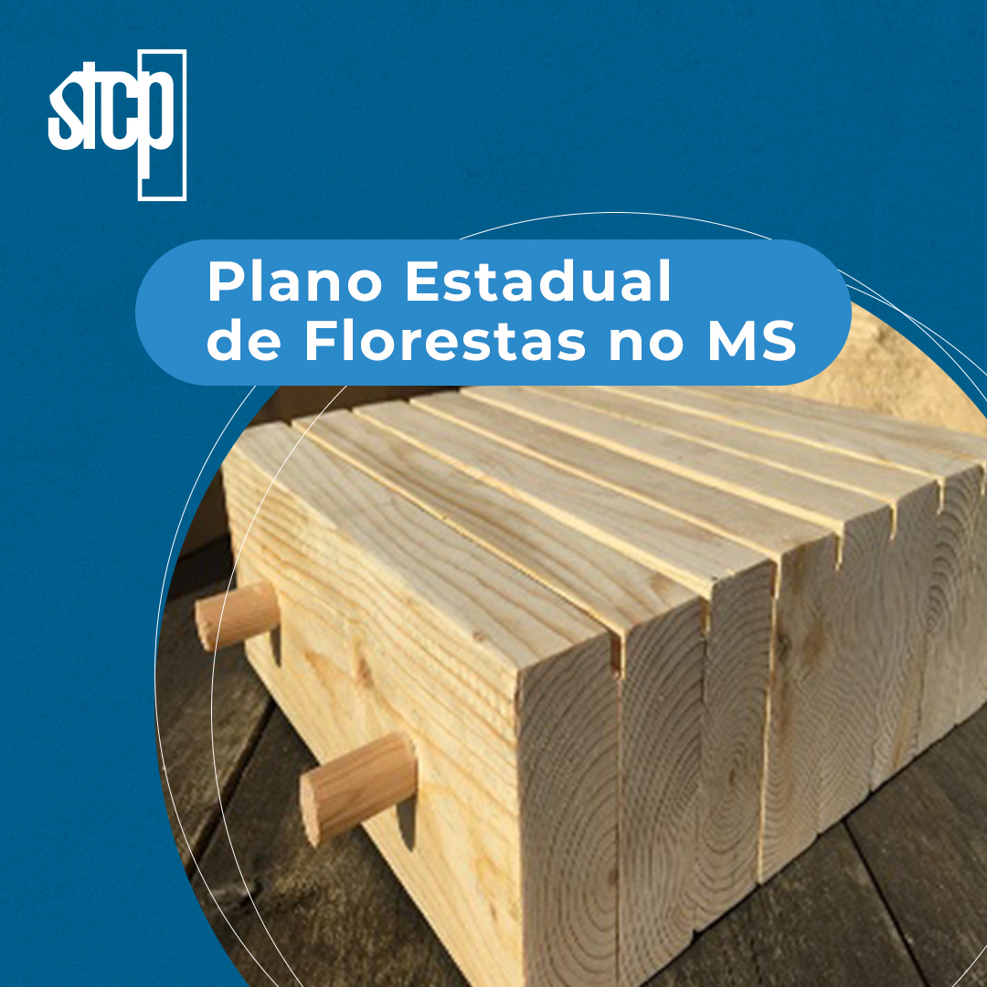PLANO ESTADUAL DE FLORESTAS NO MS - STCP