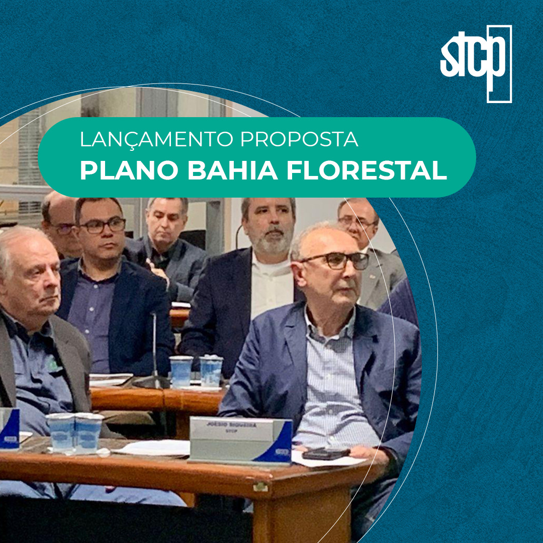 PLANO BAHIA FLORESTAL - STCP