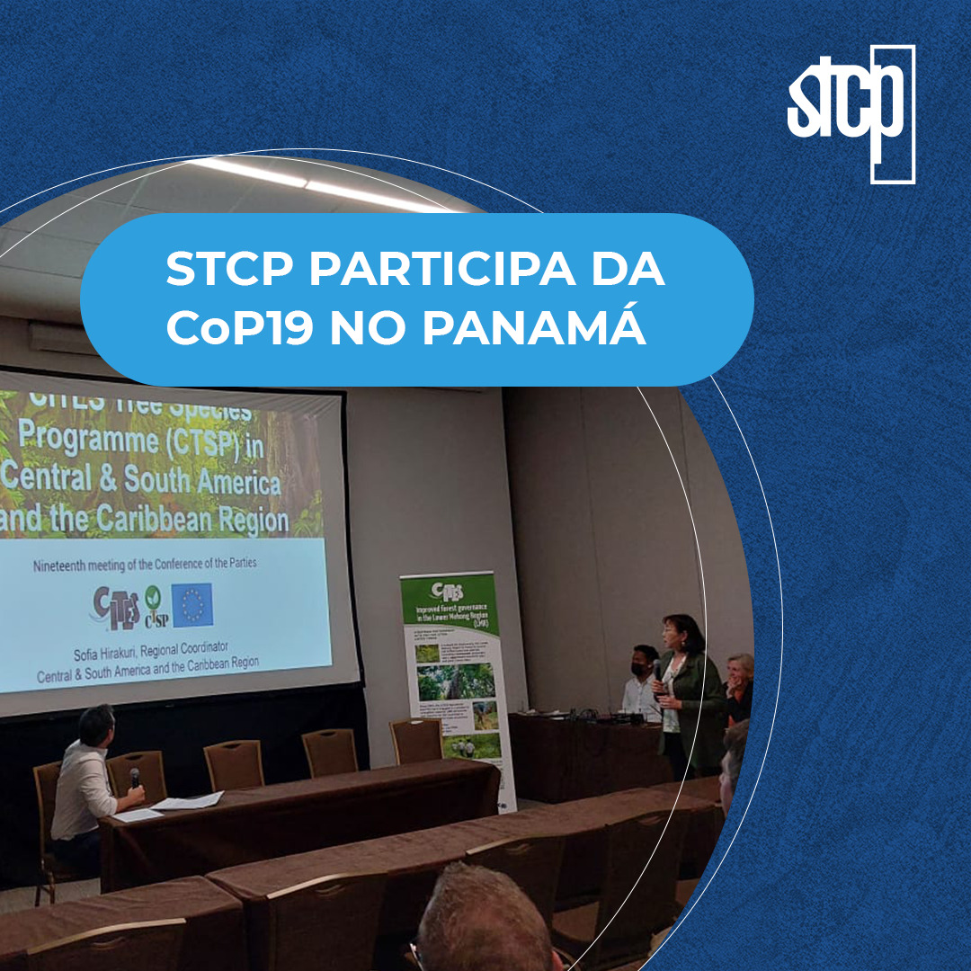 STCP PARTICIPA DA COP19 NO PANAMÁ - STCP