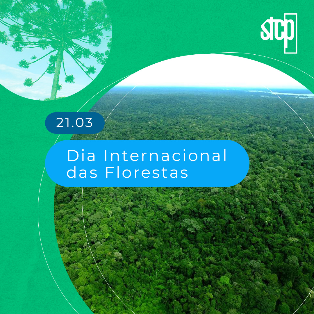 DIA INTERNACIONAL DAS FLORESTAS - STCP